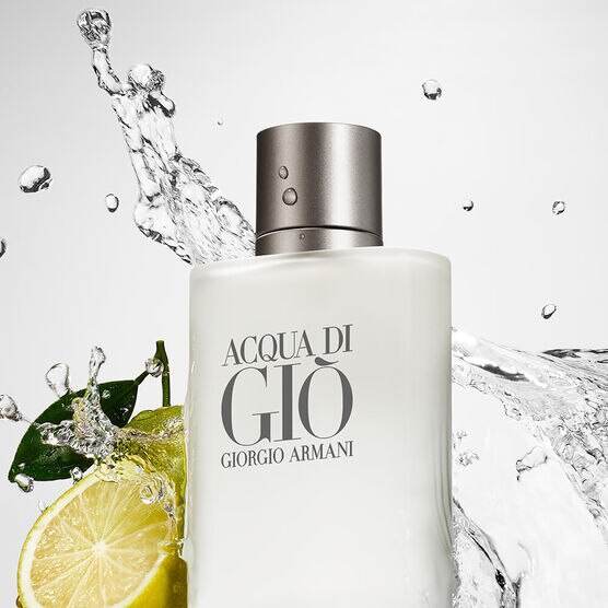 Perfume Giorgio Armani Acqua Di Giò Masculino Eau de Toilette | Sephora