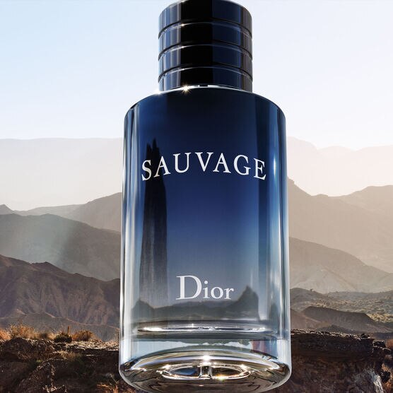 Perfume Dior Sauvage Eau de Toilette - Sephora