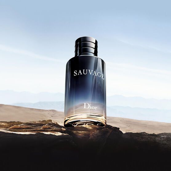Perfume Sauvage Dior Masculino Eau de Toilette |Sephora