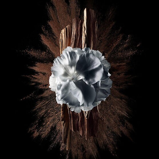 Perfume Givenchy Gentleman Society Extrême - Sephora